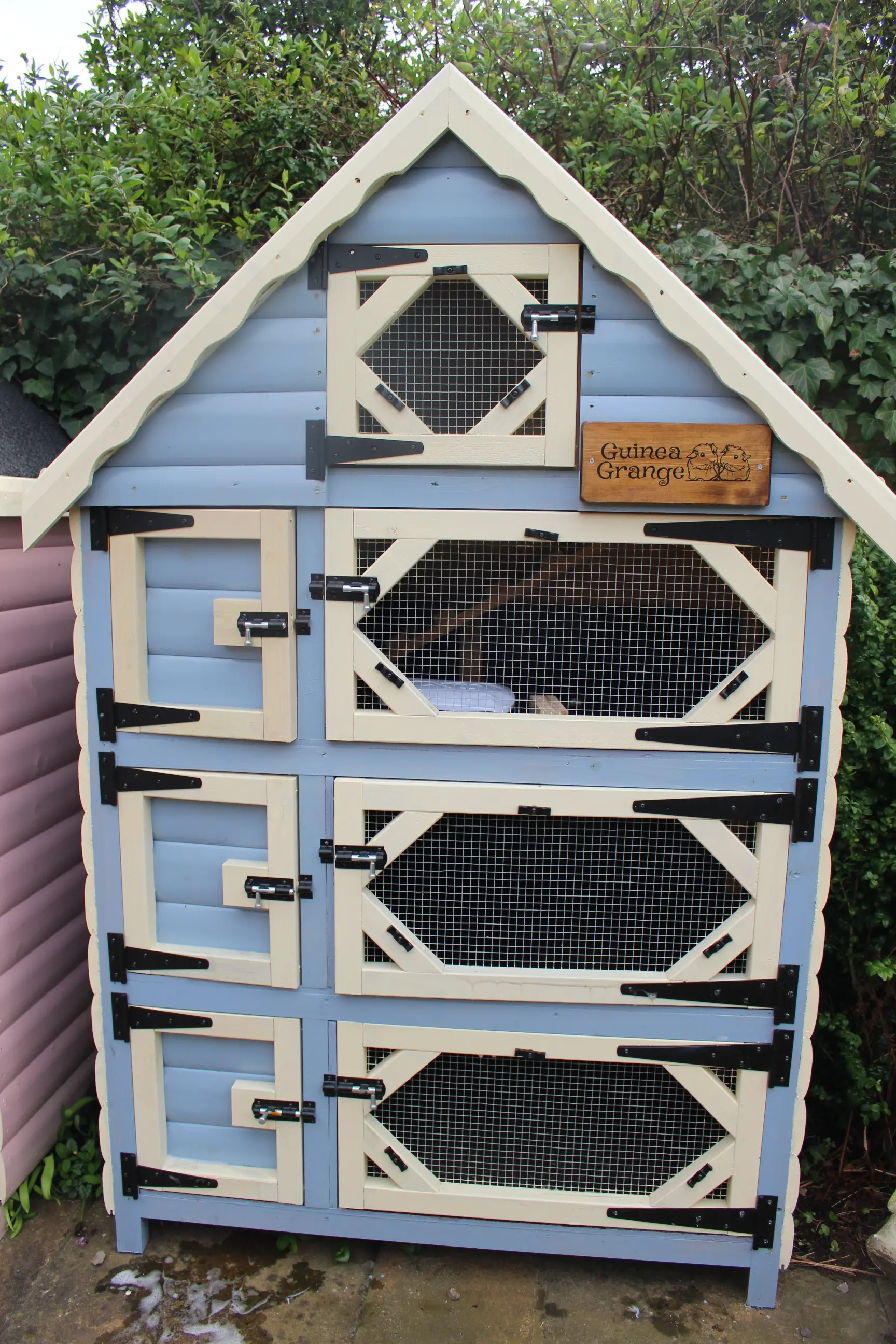 Guinea Pig Boarding - The Hedgerow Hotel | Hook, Hampshire