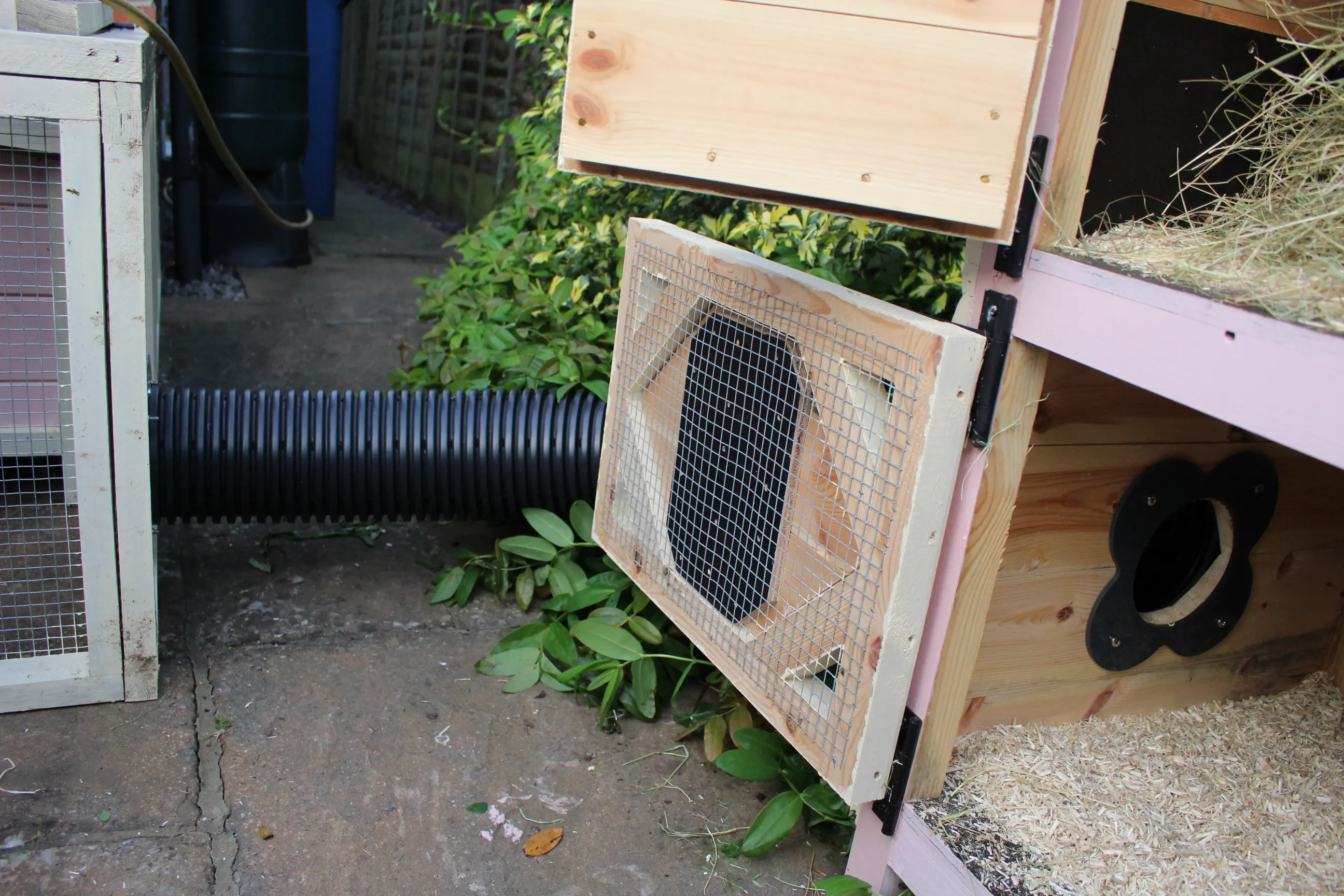 Rabbit Boarding - The Hedgerow Hotel | Hook, Hampshire